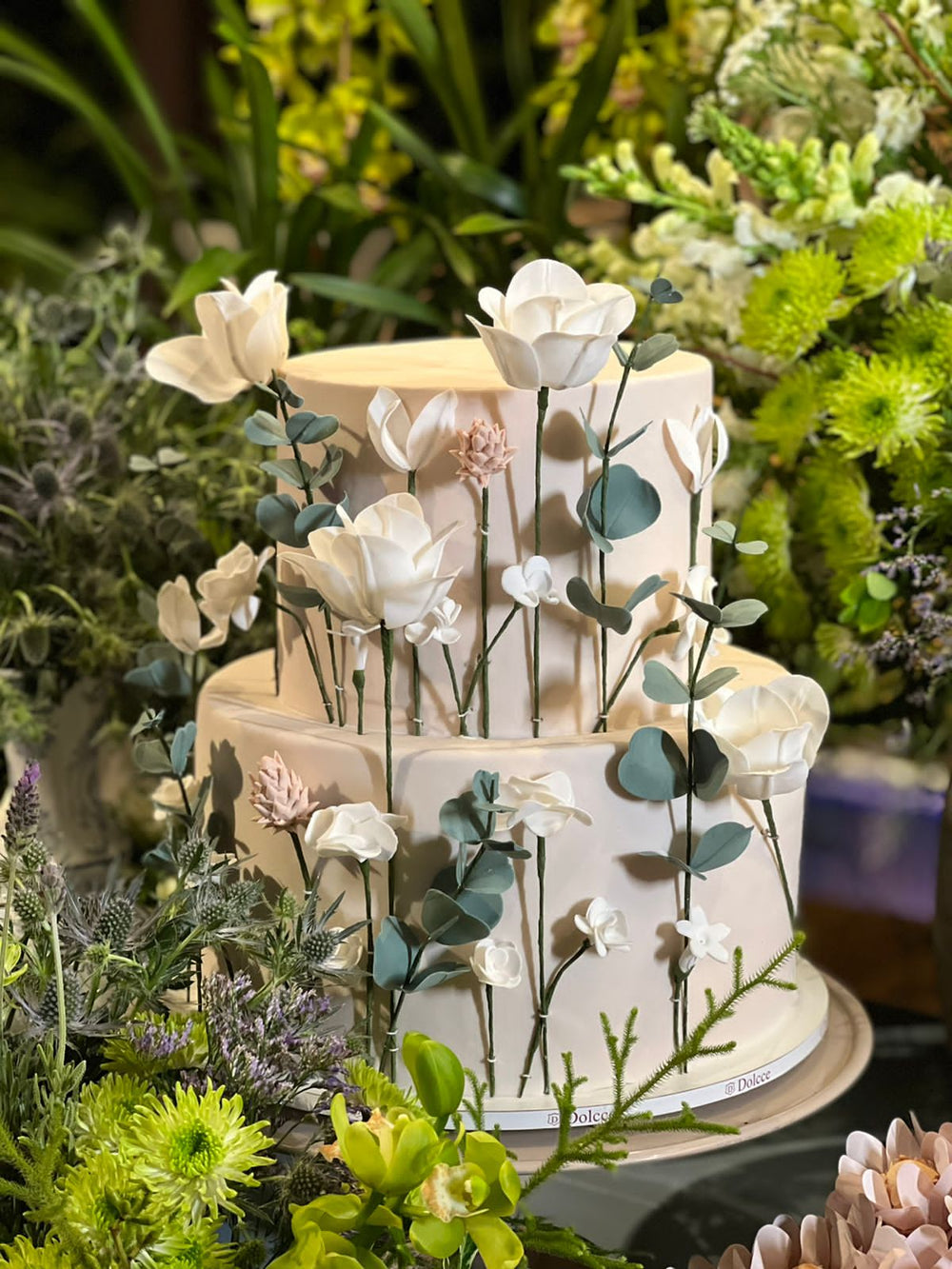 Atendimentos - Dolcce